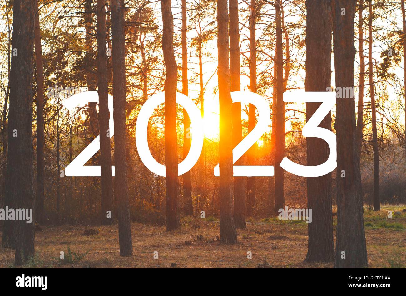2023 design hi-res stock photography and images - Alamy
