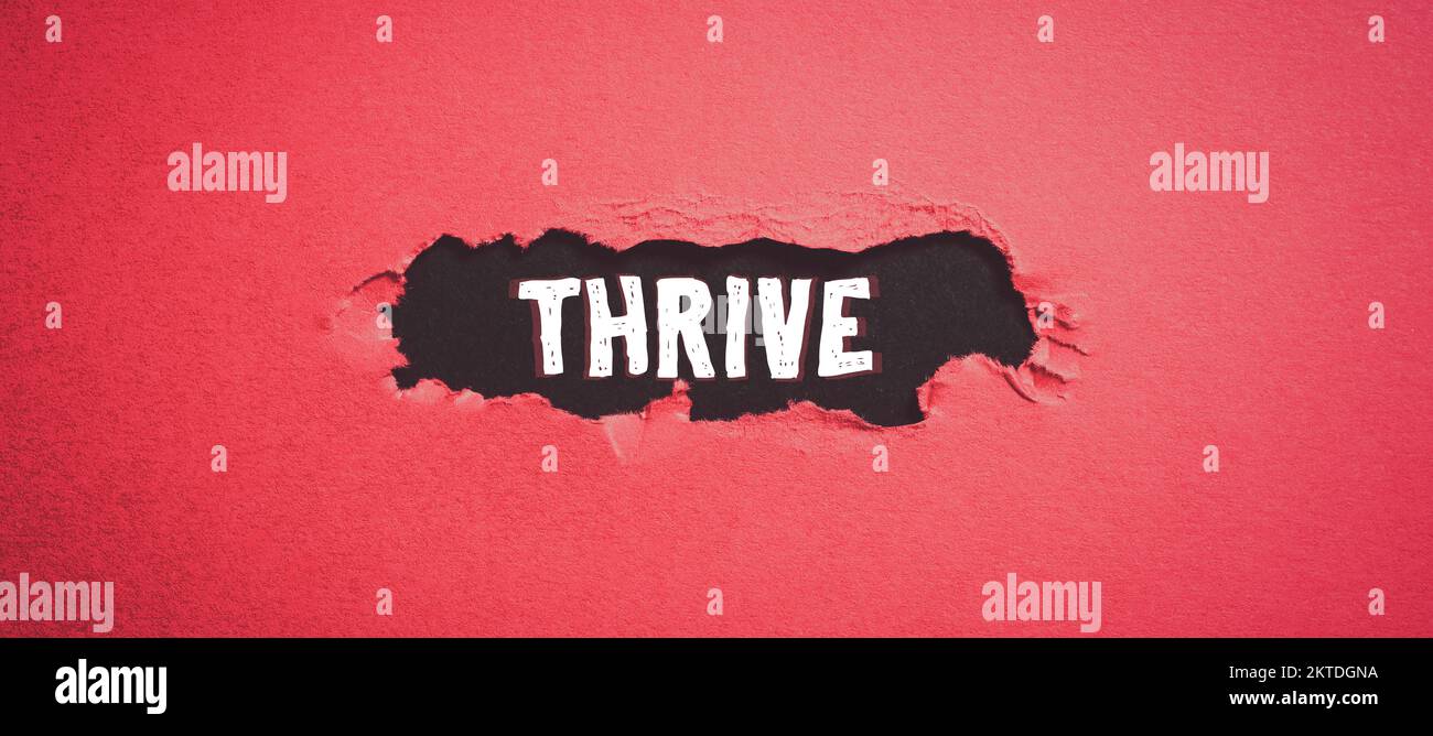 Hand writing sign Thrive, Business overview Think positively Continue ...