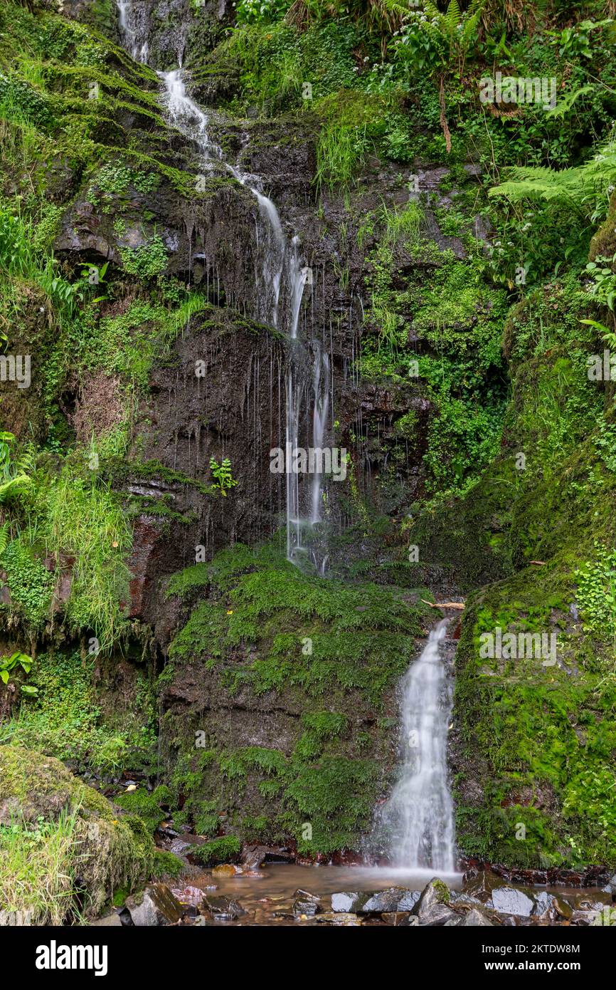 Long exposure of the Hollowbrook waterfall on the South West Coastpath ...