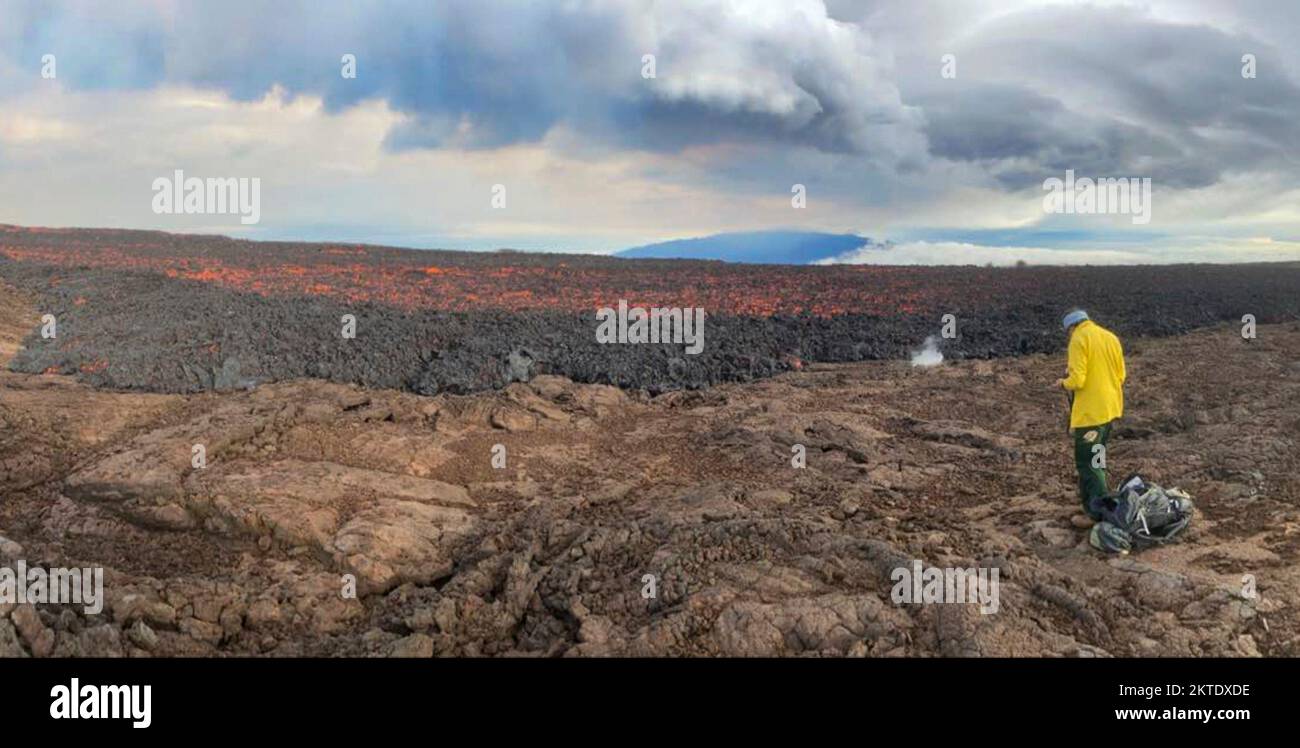 Mauna Loa, United States of America. 27 November, 2022. A Hawaiian ...