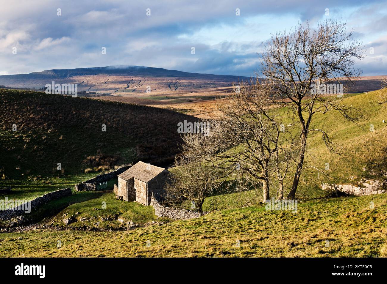 View of Whernside peak in the Yorkshire Dales National Park, seen from ...