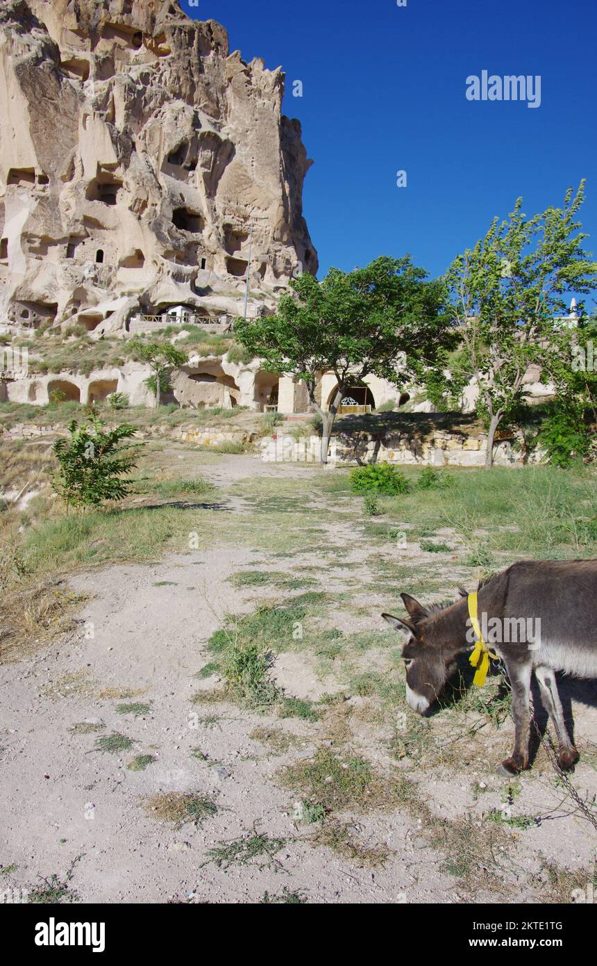 Uchisar - Turkey - A donkey under the famous Uchisar castle Stock Photo ...