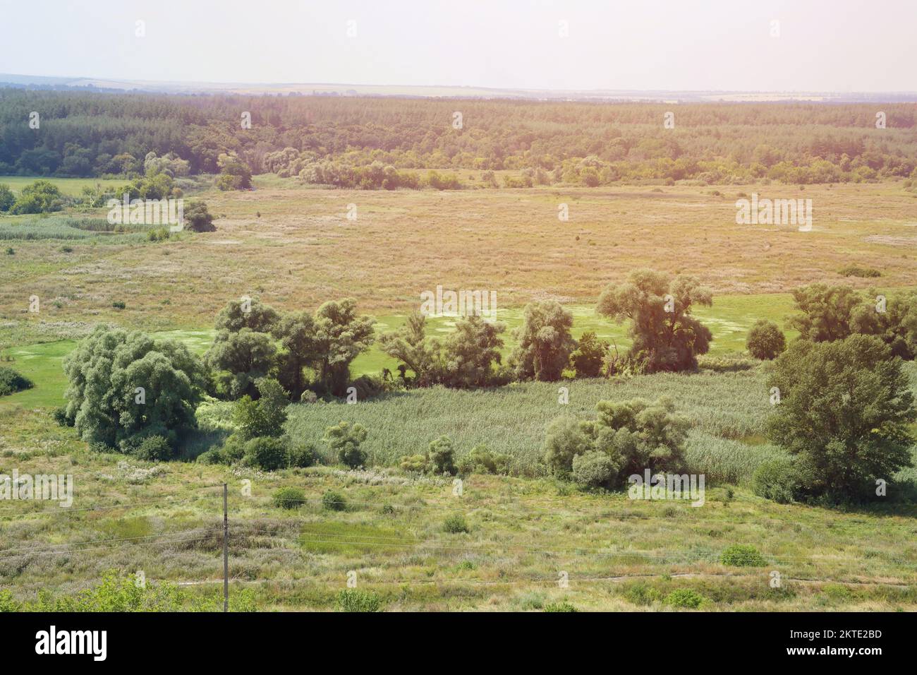Sunny spring morning on meadow with trees. Scenic rural landscape ...