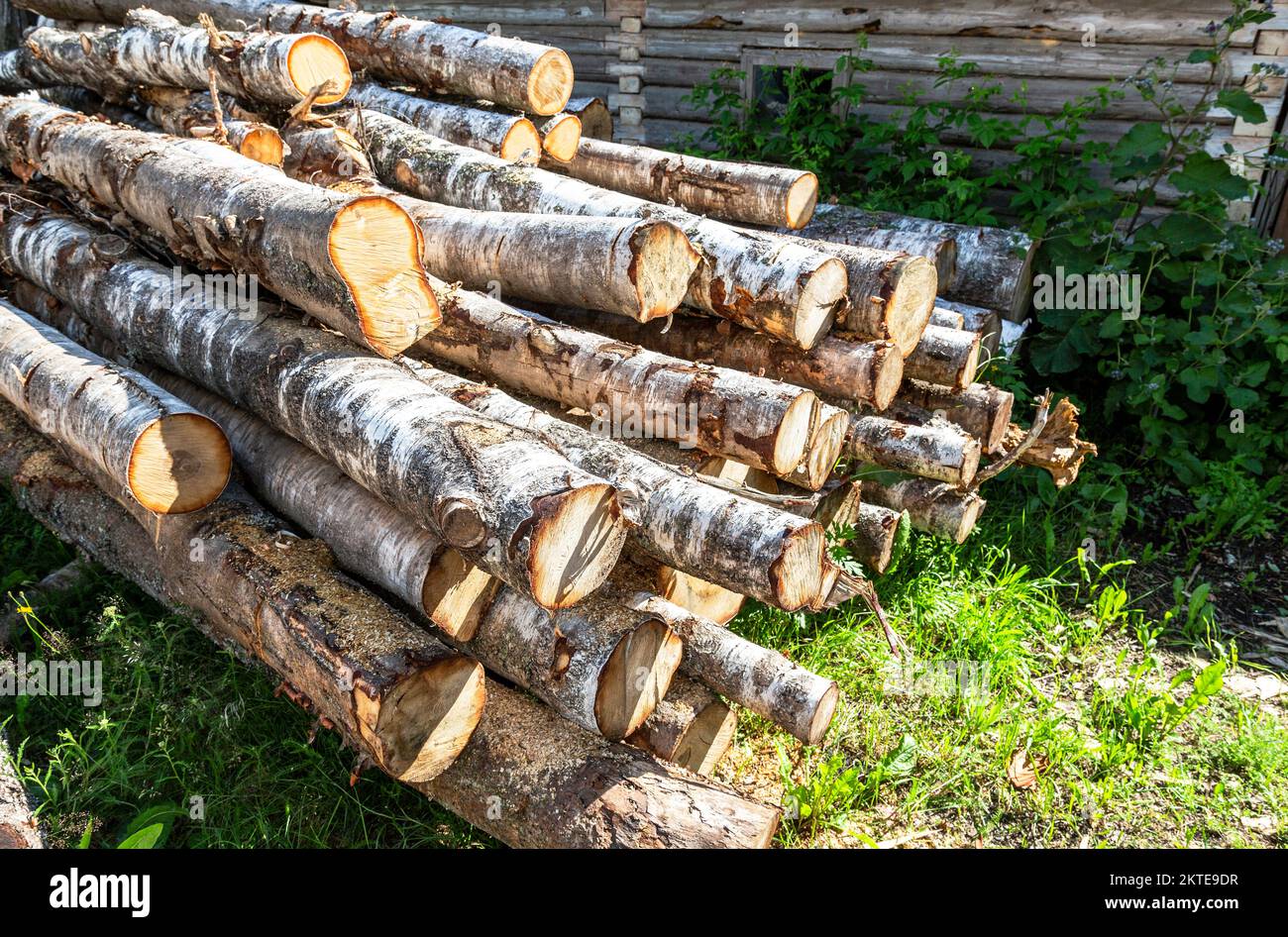 Preparing the timber hi-res stock photography and images - Alamy
