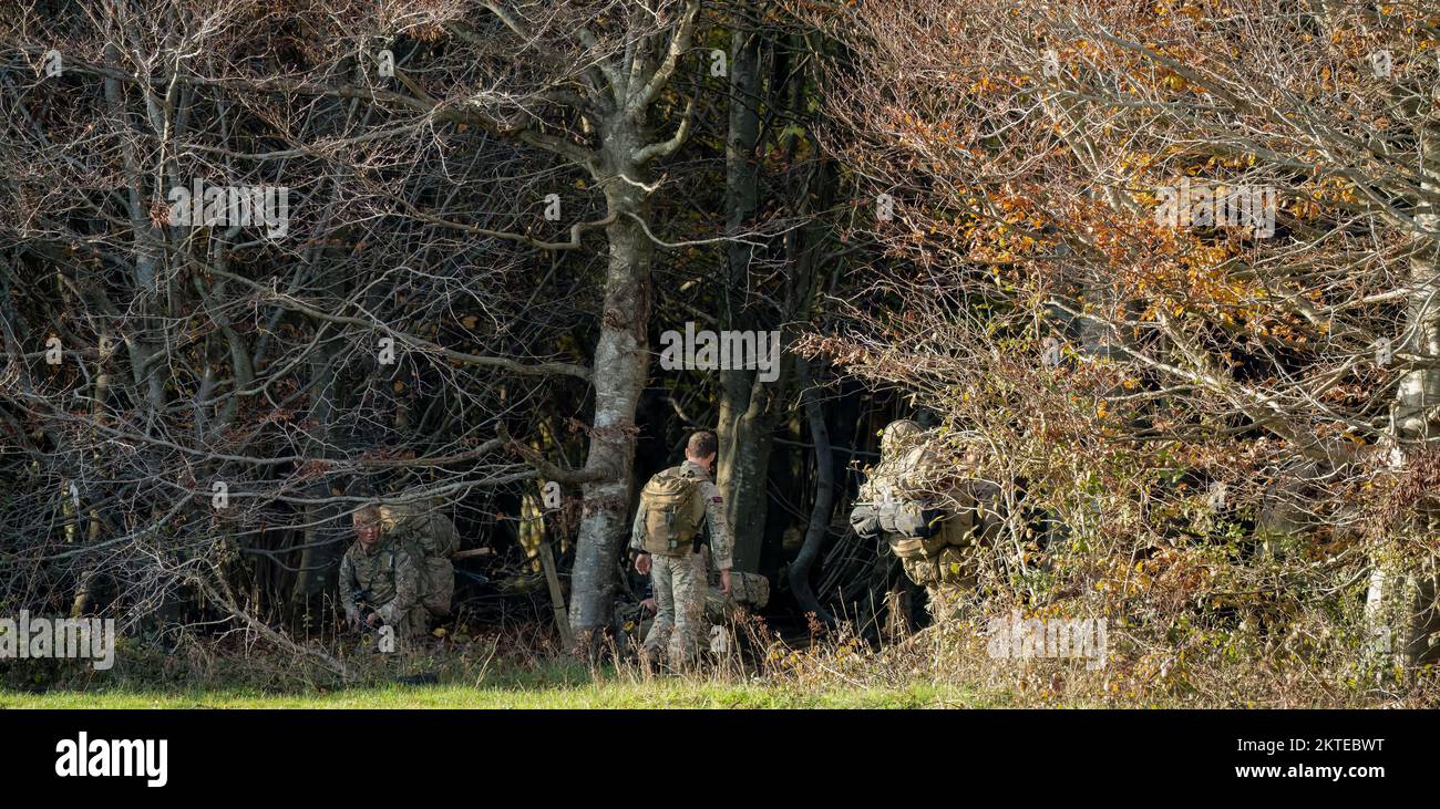 Royal marine camouflage hi-res stock photography and images - Alamy