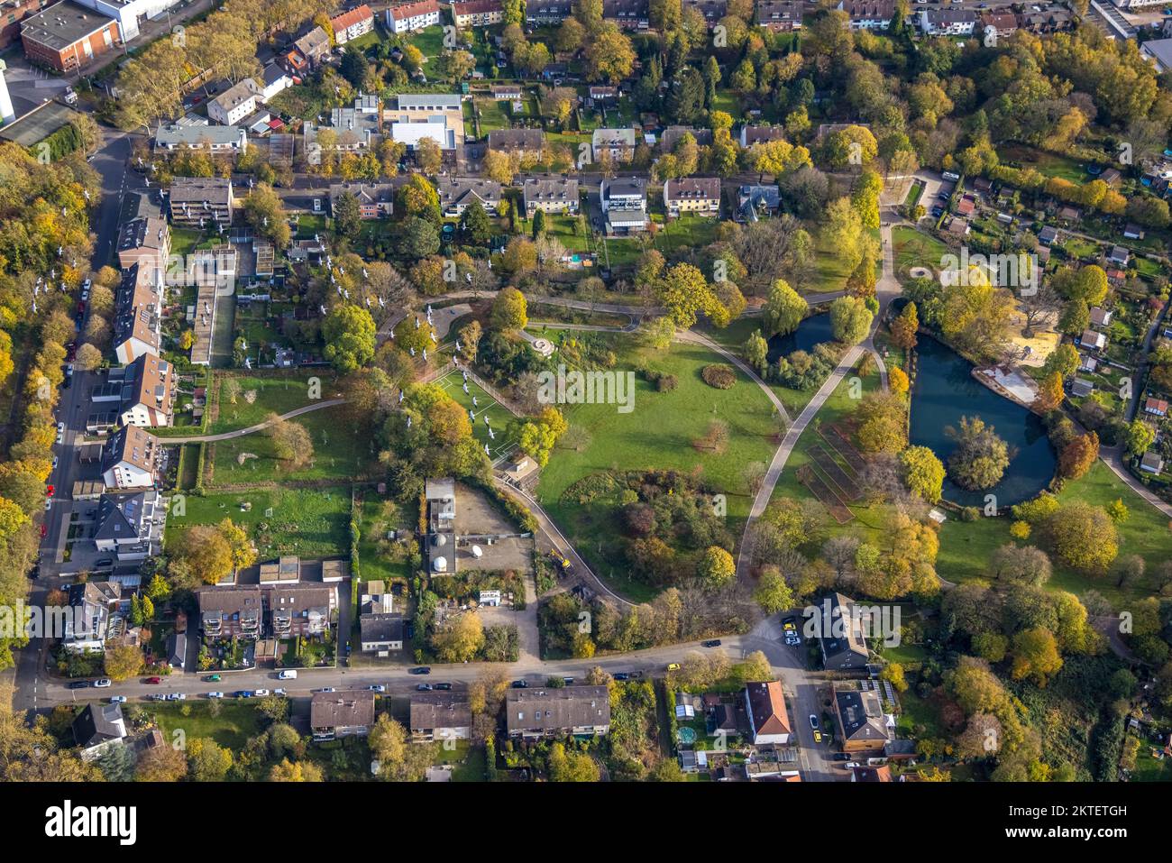Cranes flying over dorneburger park hi-res stock photography and images ...