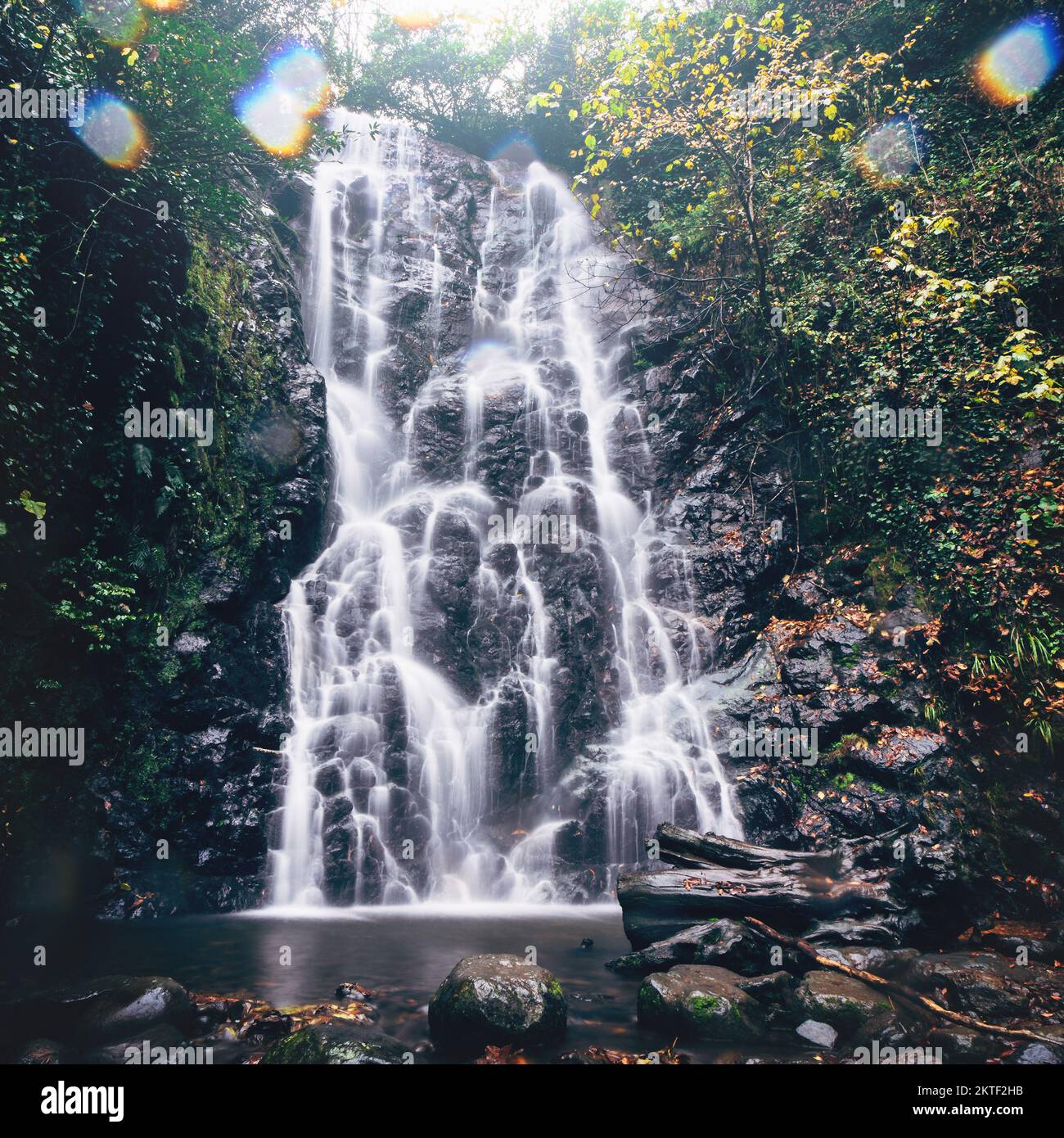 Waterfall in dark green forest. Mountain cascade river splashing on dark rock stones Stock Photo ...