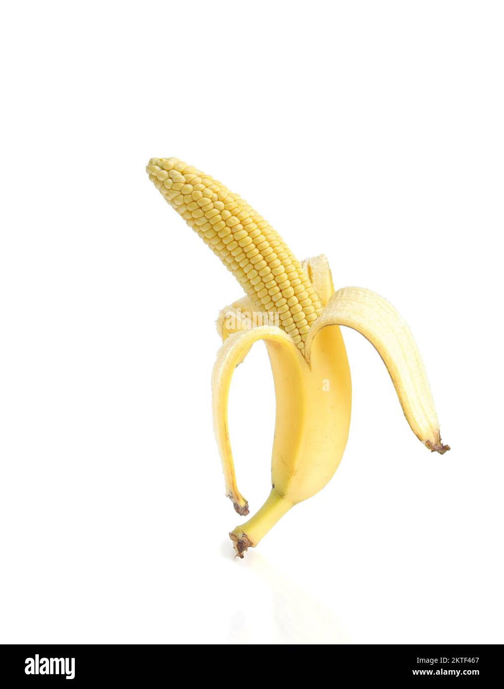 Modified organism Cut Out Stock Images & Pictures - Alamy