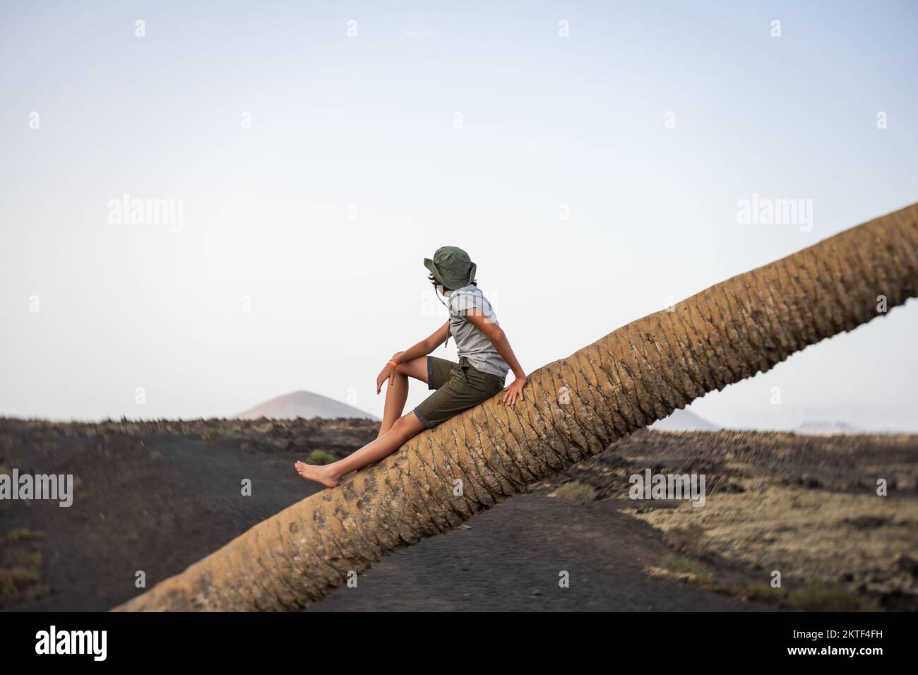 A teenager sits on the trunk of a fallen palm tree and looks into the ...