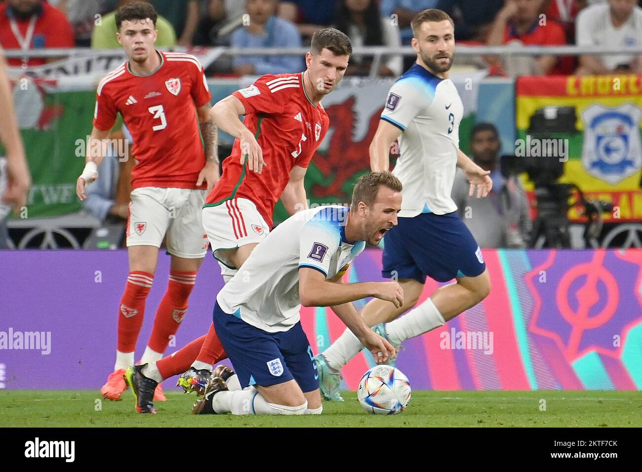 Doha, Katar. 29th Nov, 2022. MEPHAM Chris (WAL), action, duels versus ...