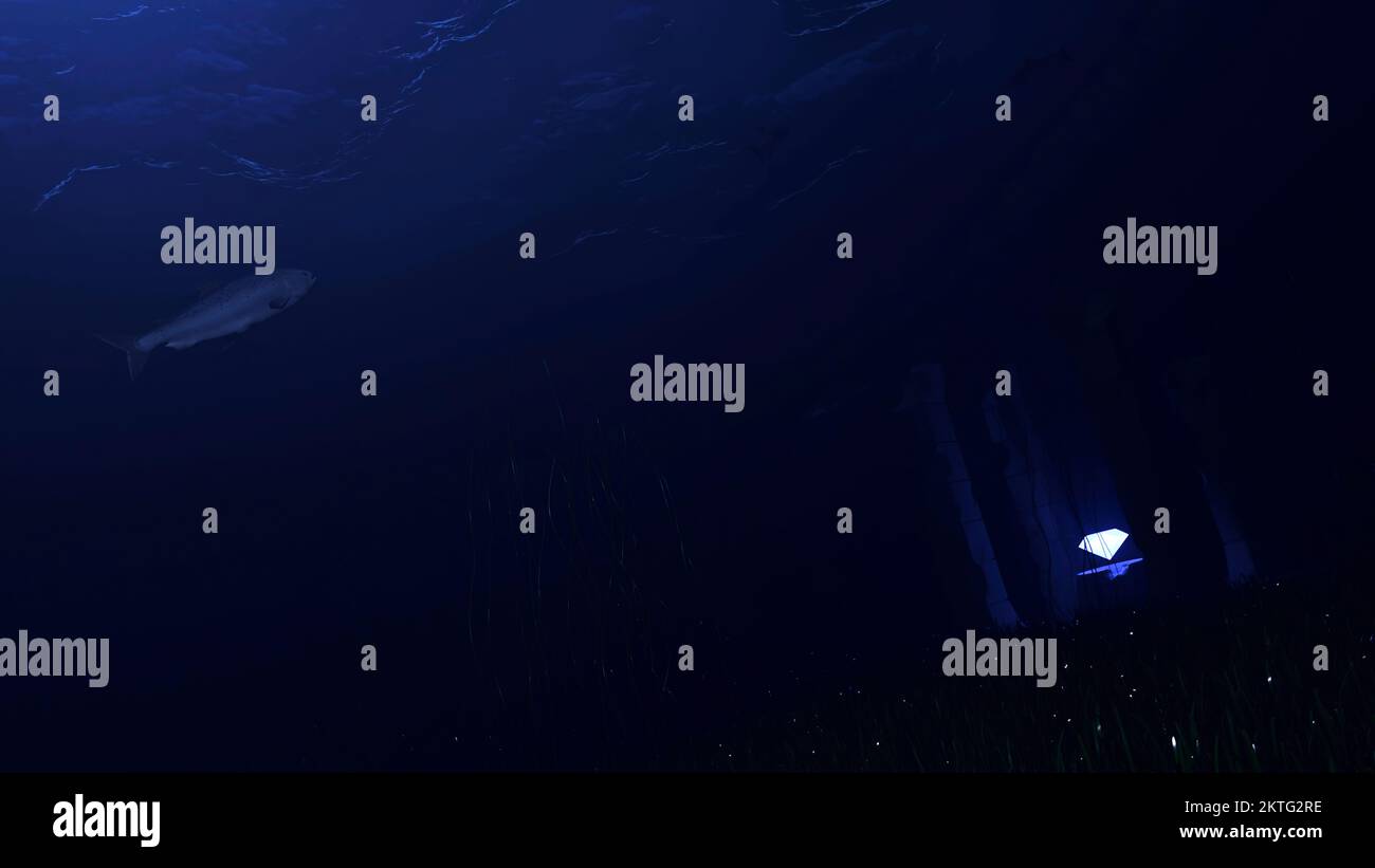 4k group color fish swimming hi-res stock photography and images - Alamy