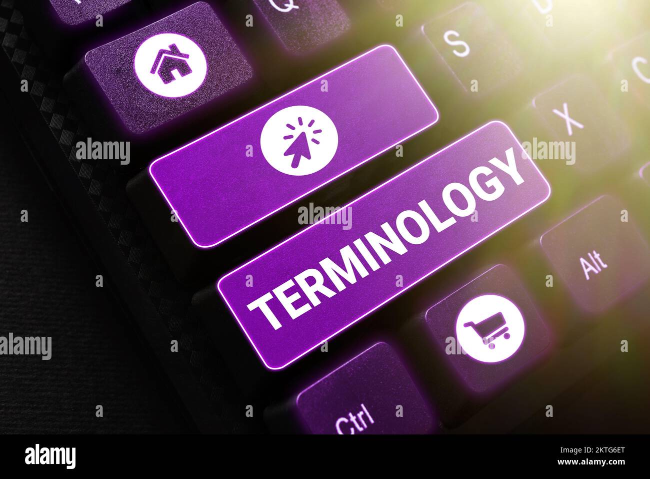 Conceptual caption Terminology, Business overview Terms used with ...