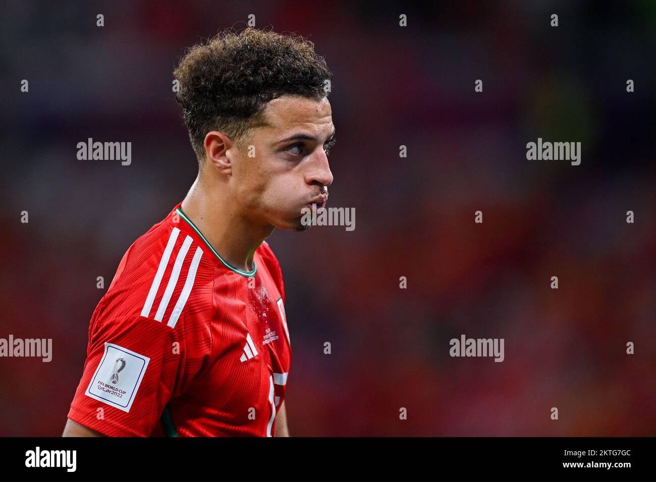 DOHA, QATAR - NOVEMBER 29: Ethan Ampadu of Wales during the Group B ...
