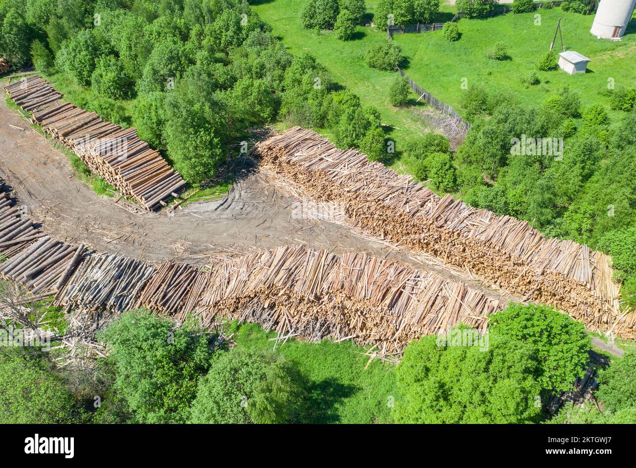 Logging, log cabin trunks of conifers, top aerial view Stock Photo - Alamy