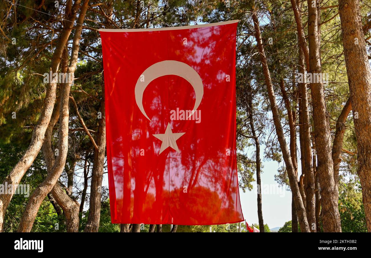 Large Turkish flag hanging from an avenue of trees. No people Stock ...
