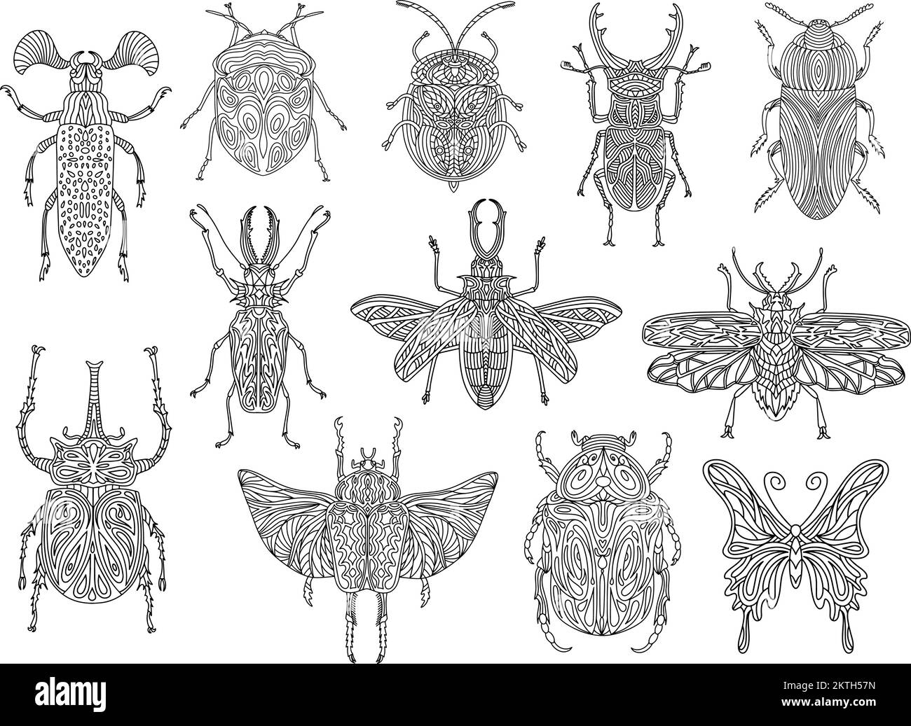 Linear insects hi-res stock photography and images - Alamy