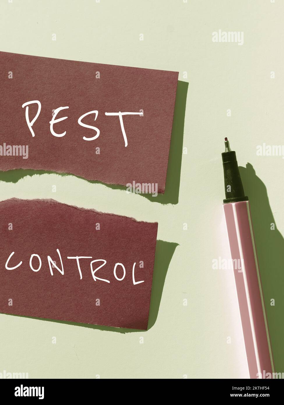 Writing displaying text Pest Control, Concept meaning Killing ...