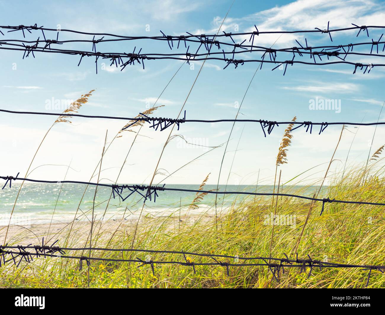 View through the barbed wire to path going to the beach in Florida ...
