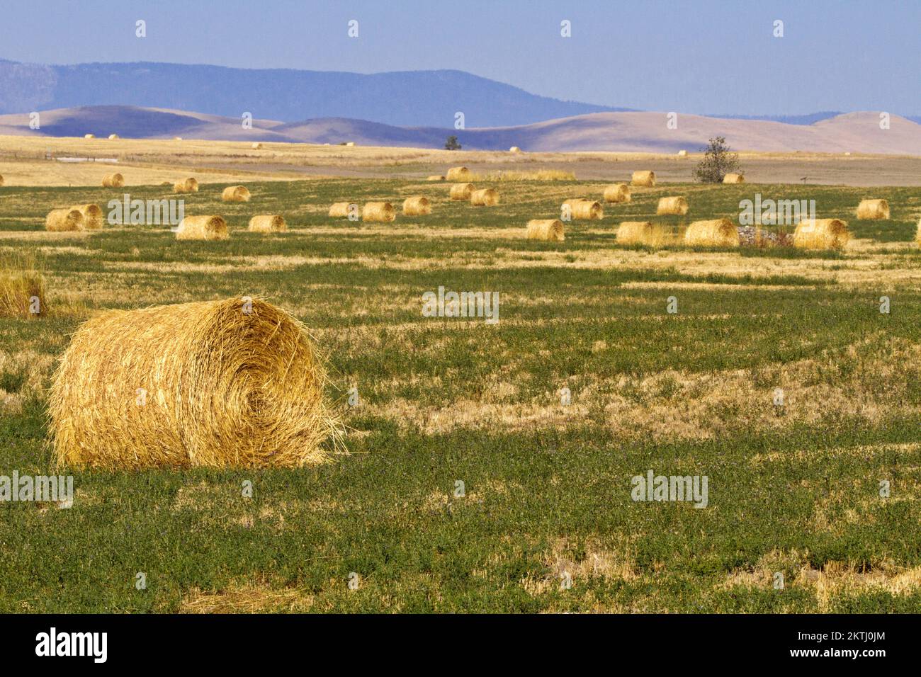 Bucolic lifestyle hi-res stock photography and images - Alamy