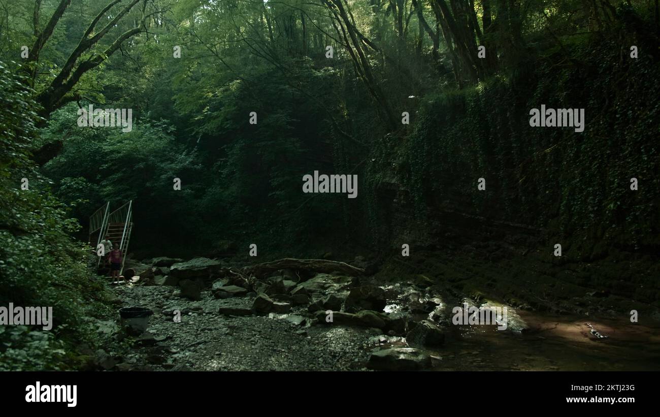 Hikers in forest gorge with river. Creative. Beautiful wild gorge with ...