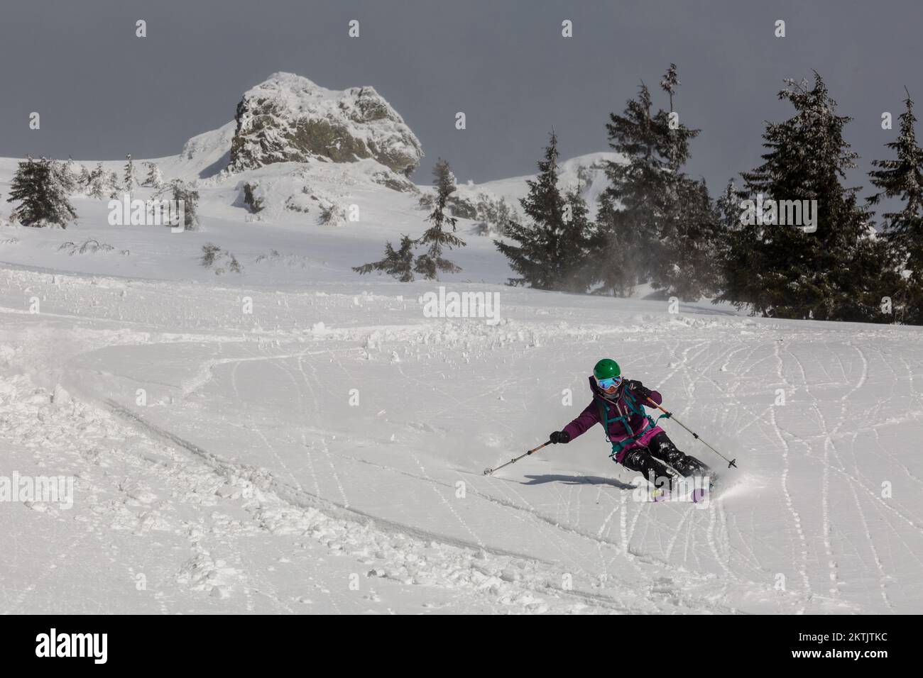 Female skier skiing downhill during sunny day in high mountains, an ...
