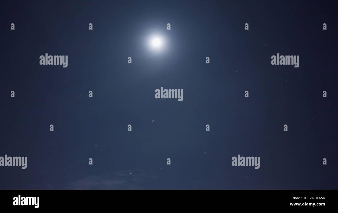 Bottom view of the night sky with shining moon and a flying bird ...