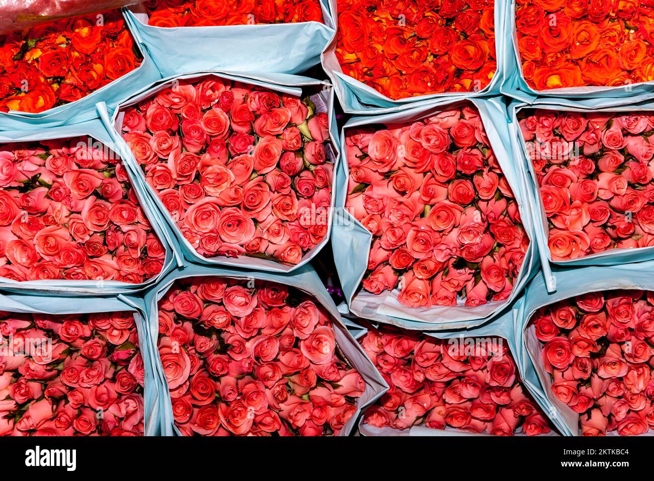 Bangkok night flower market hi-res stock photography and images - Alamy