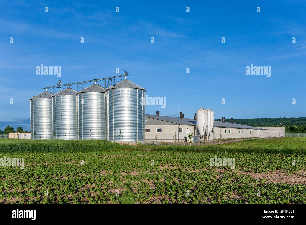 silos in beautiful landscape with green fields in spring time Stock ...