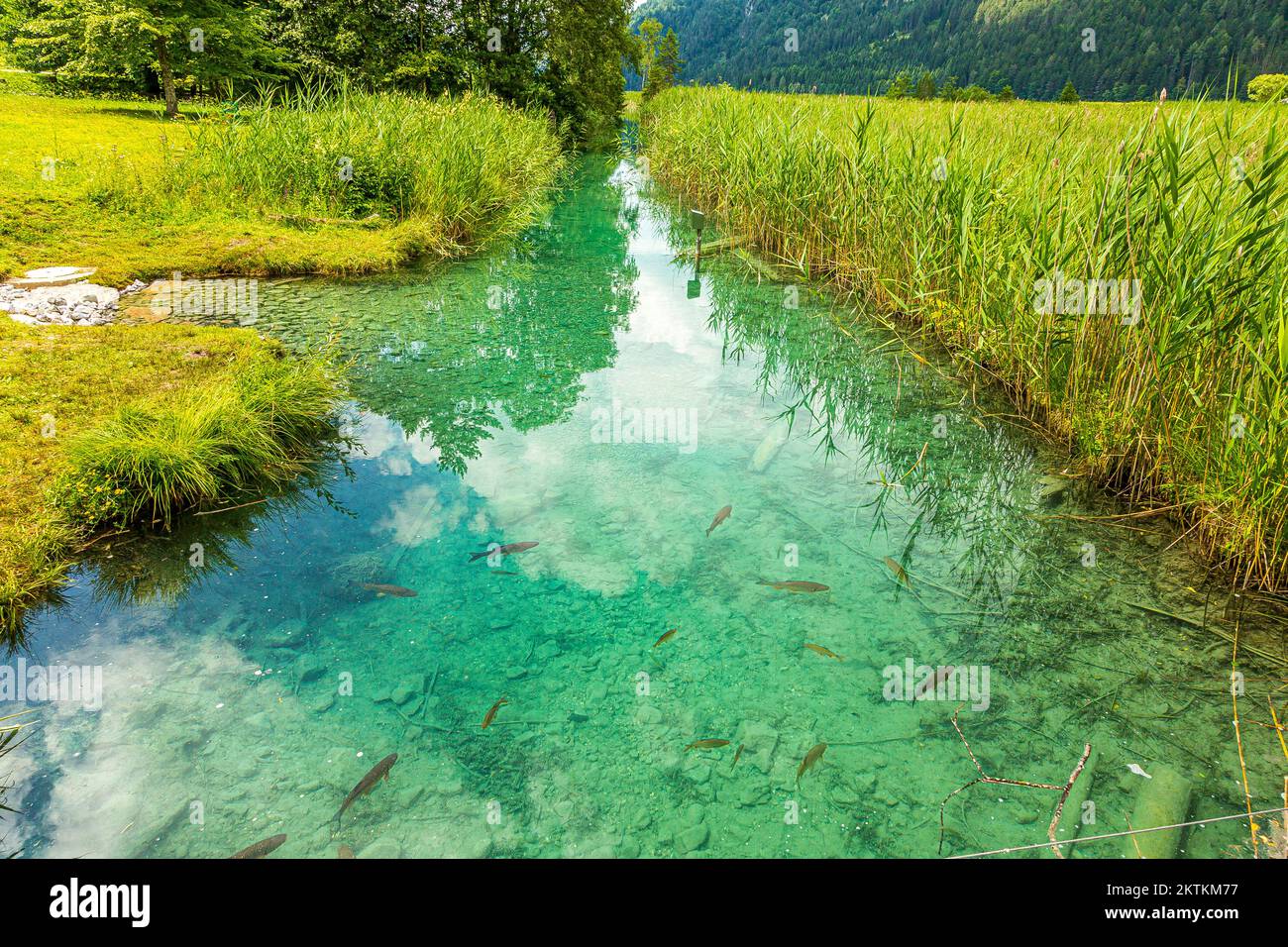 Picture of pretty Weissensee lake in Austria Stock Photo - Alamy