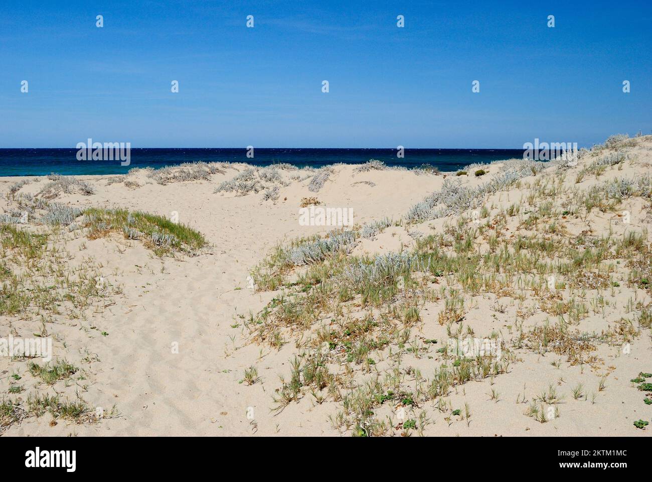 Pirotti hi-res stock photography and images - Alamy
