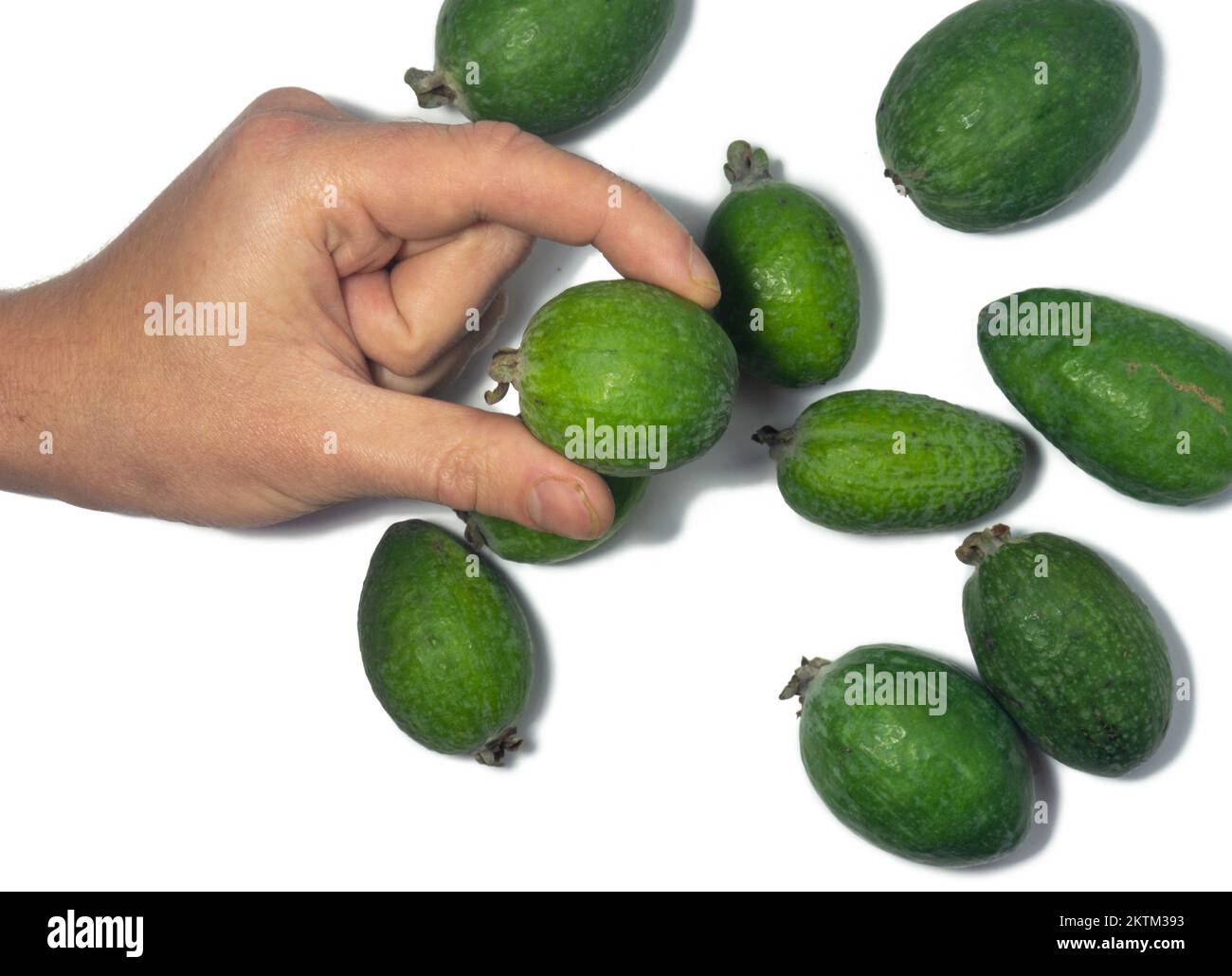 Feijoa fruits in the palm of your hand. On a white background. Healthy ...