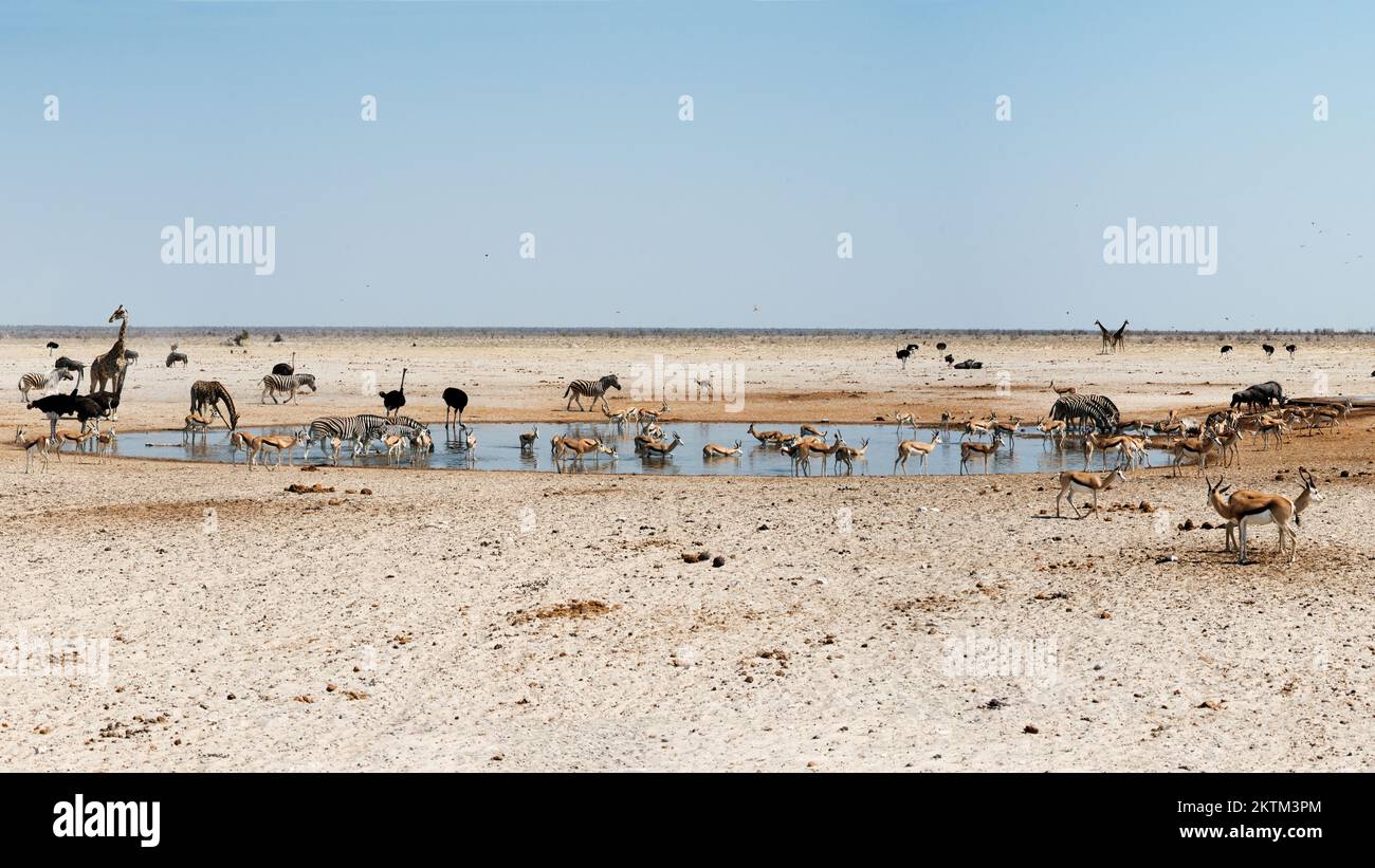 Draught africa hi-res stock photography and images - Alamy