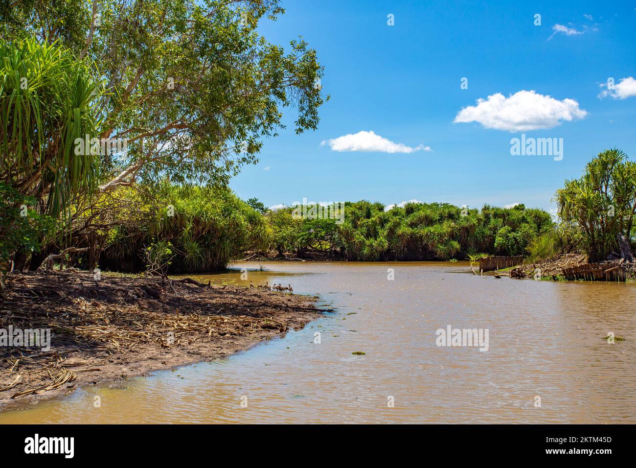 Near the confluence of the Yellow Water Billabong and the South ...