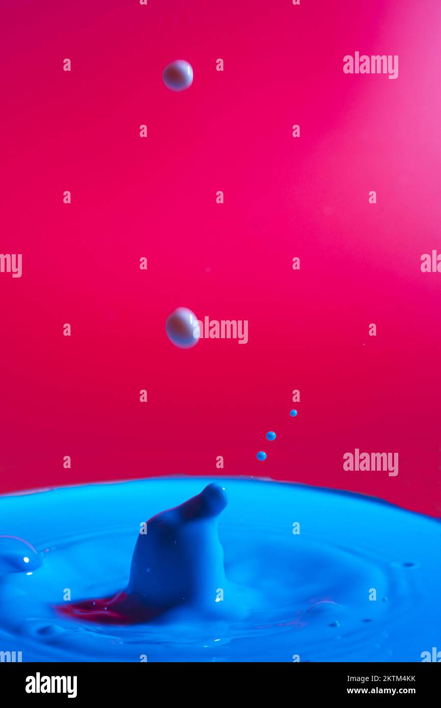 collision of moving water drops of blue color on a purple red ...