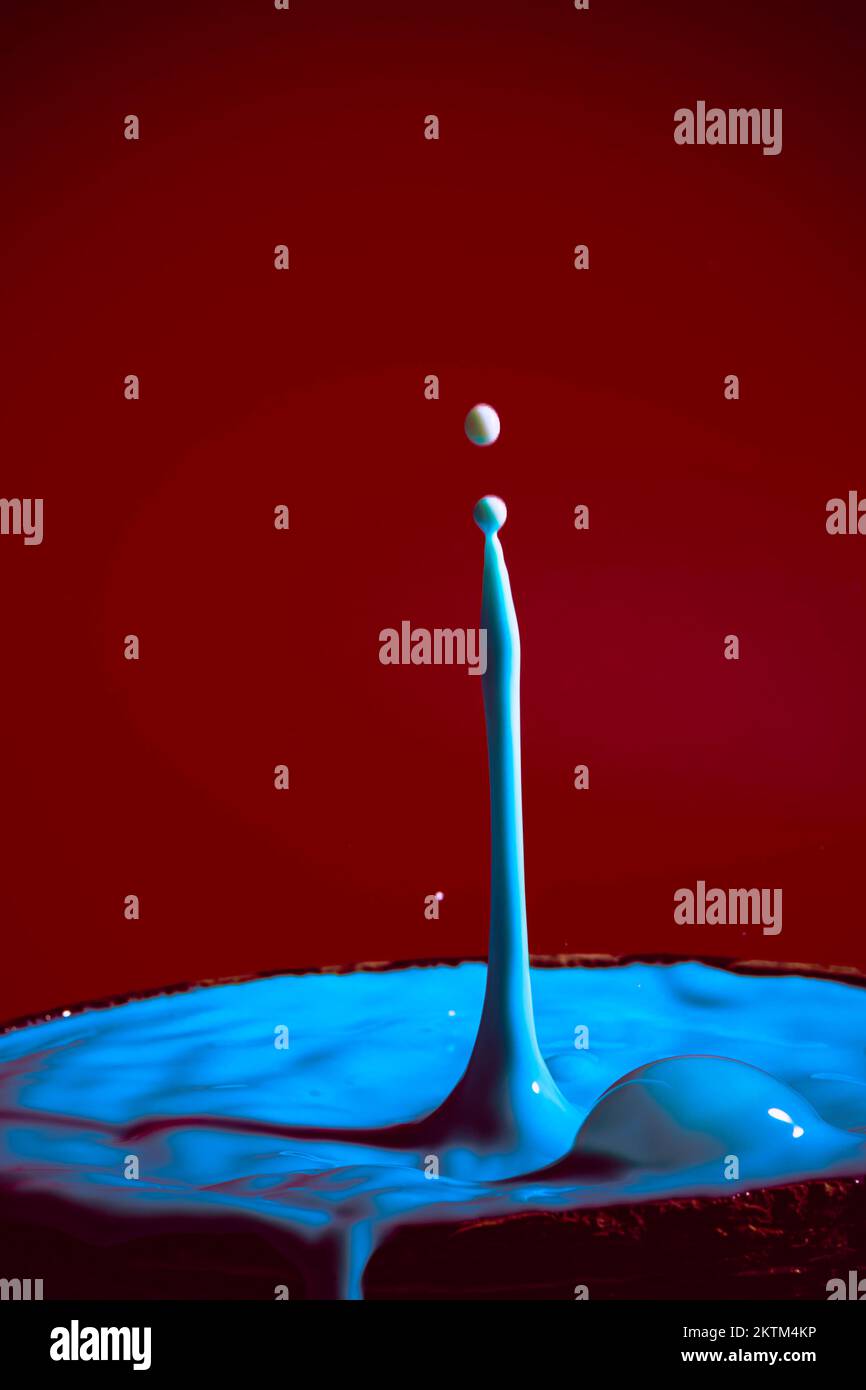 collision of moving water drops of blue color on a purple red ...