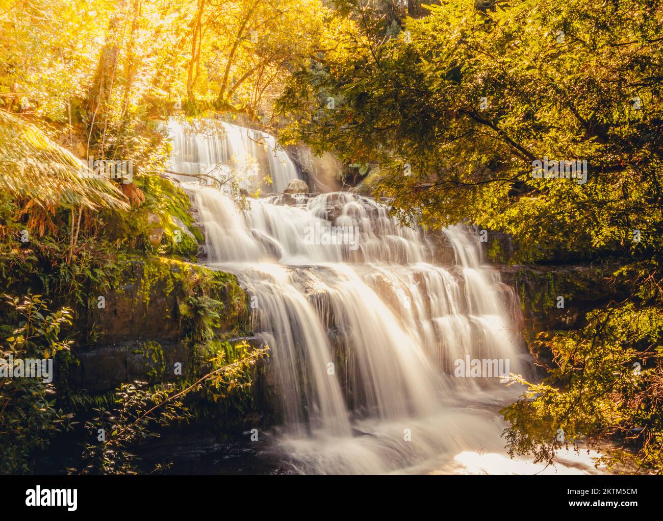 Liffey falls state reserve tasmania hi-res stock photography and images ...