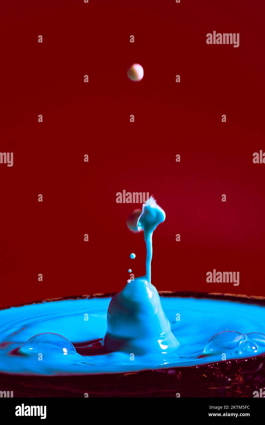 collision of moving water drops of blue color on a purple red ...