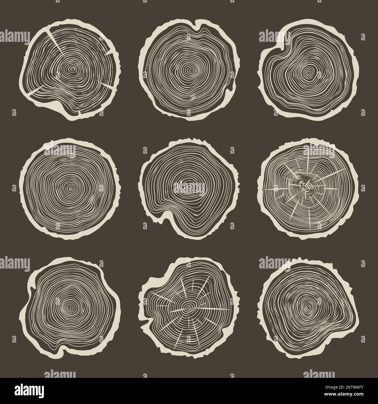 Round tree trunk cuts with cracks, sawn pine or oak slices, lumber. Saw cut timber, wood. Brown ...