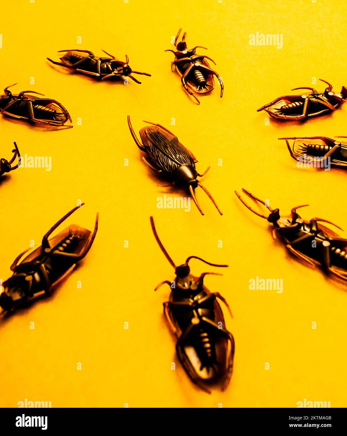 Circile hi-res stock photography and images - Alamy