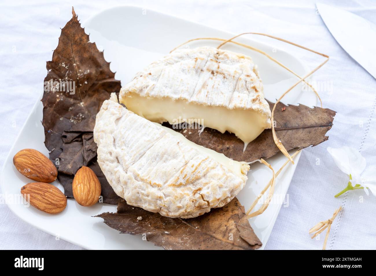 French mountains cheese banon made in Alpes-de-haute-provence wrapped ...
