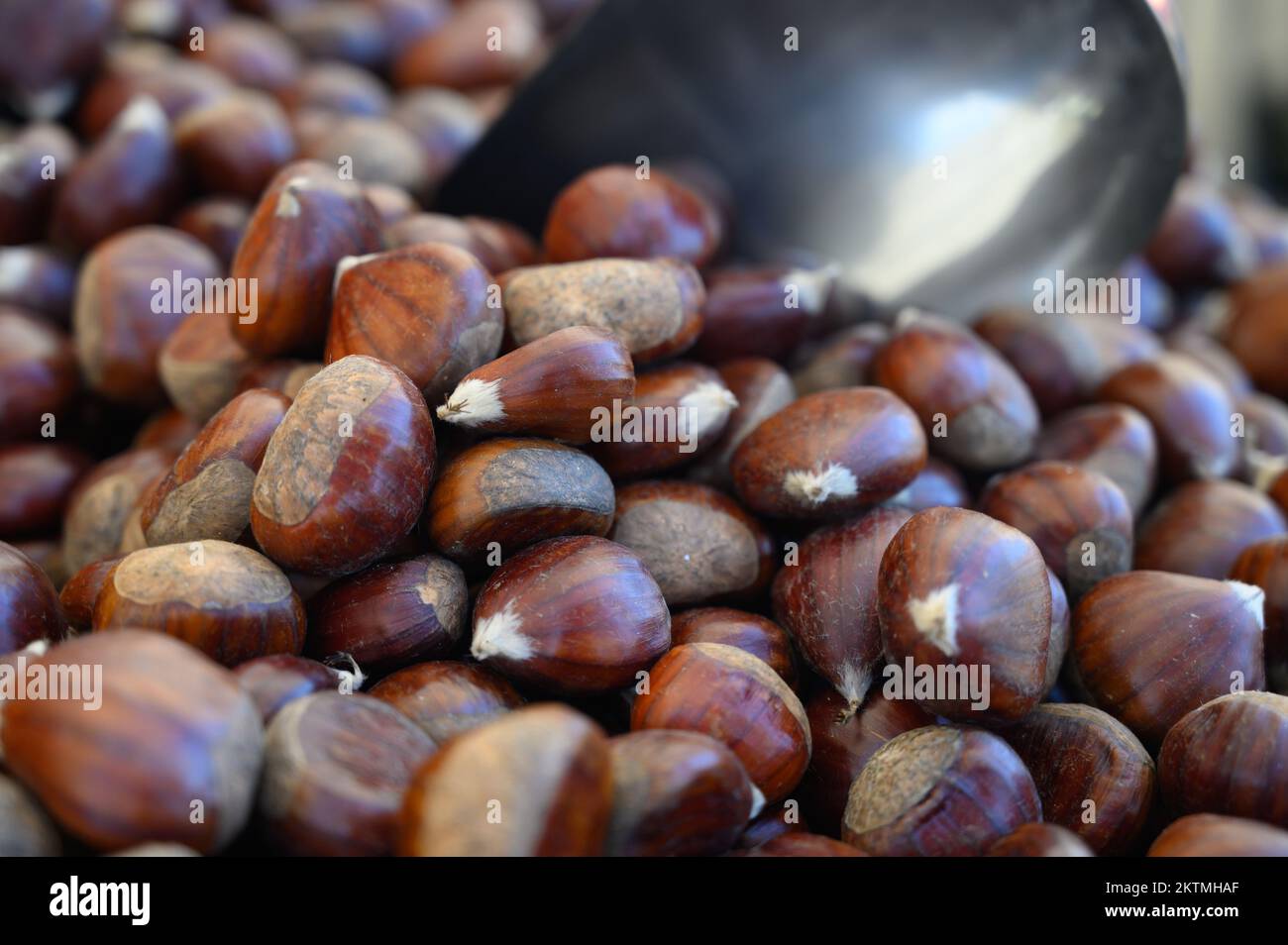 New harvest of brown chestnuts for sale on market in Lisbon, Portugal ...