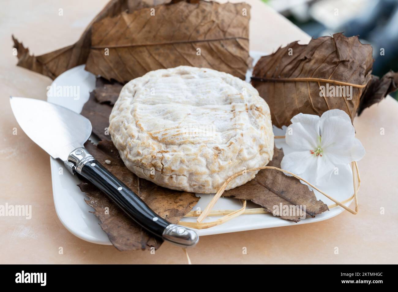French mountains cheese banon made in Alpes-de-haute-provence wrapped ...