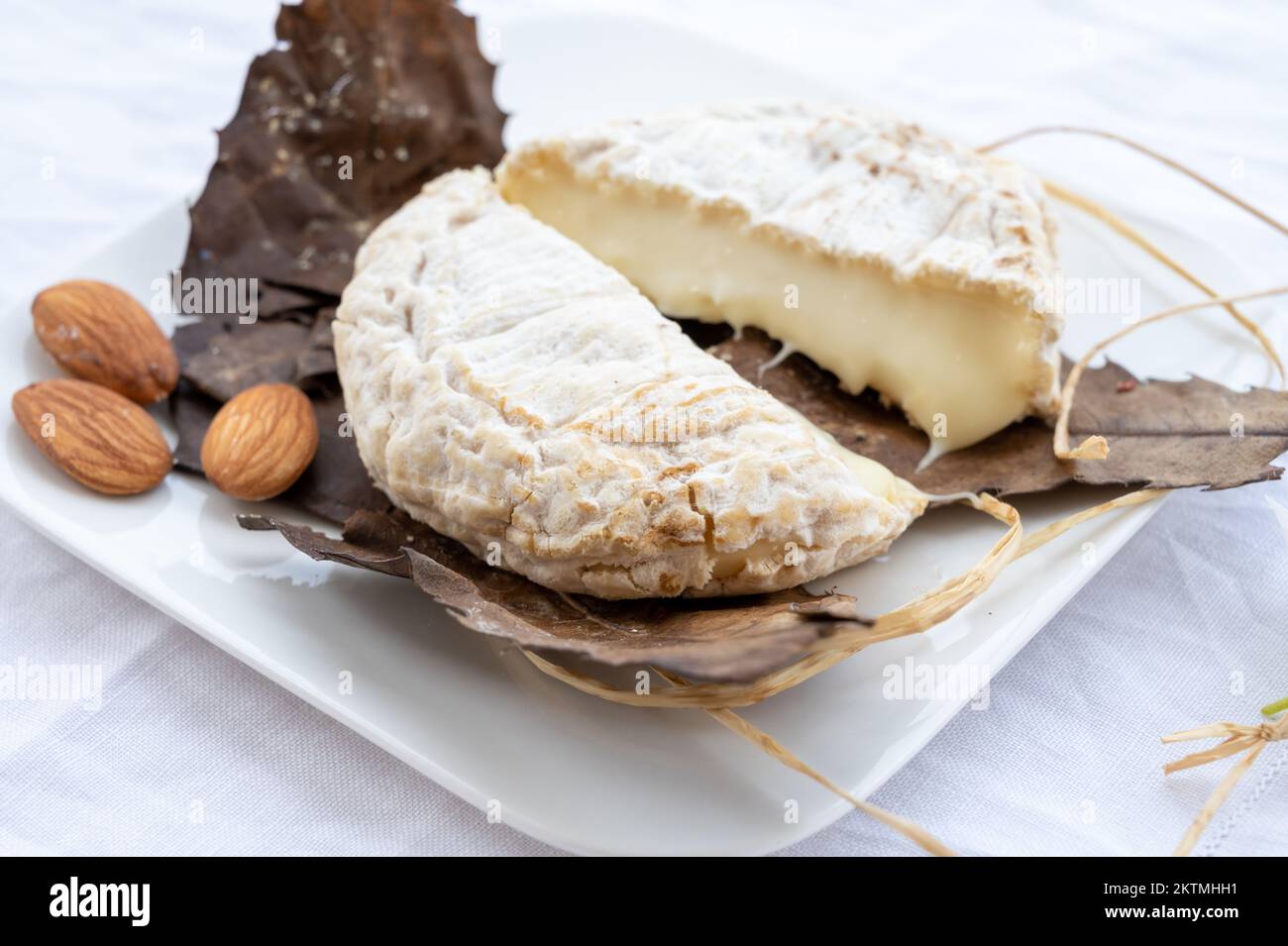 French mountains cheese banon made in Alpes-de-haute-provence wrapped ...