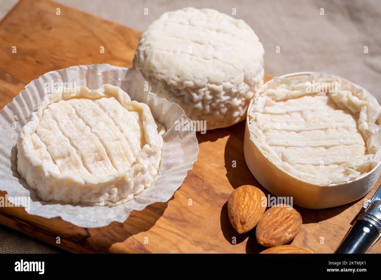 French cheeses Rocamadour and Saint-Marcellin served on olive tree ...