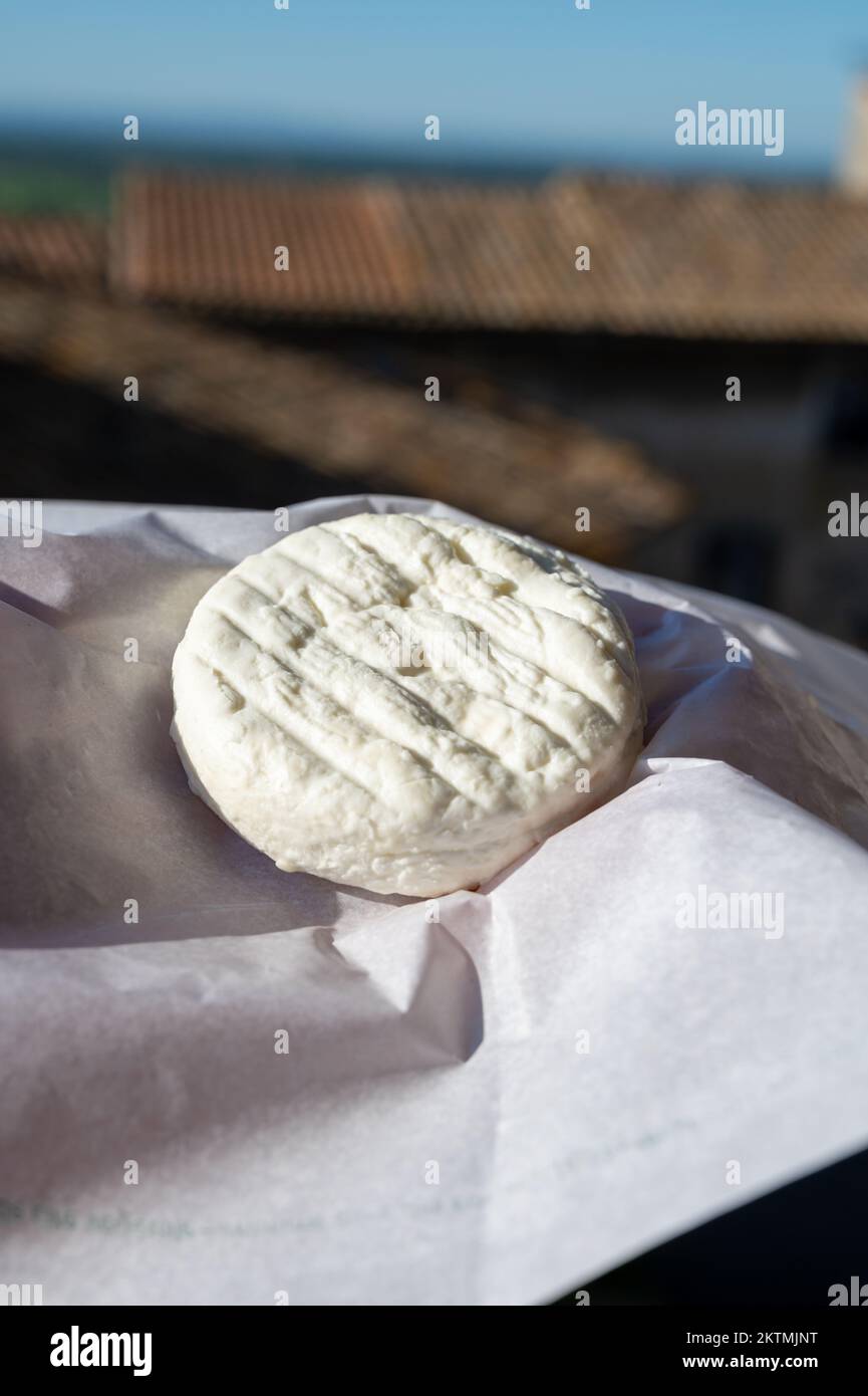 French cheeses collection, one small fresh white cheese made in ...