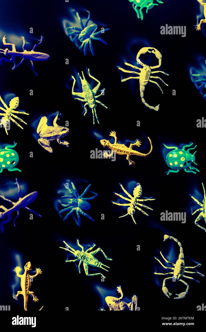 Nature still life patterning of various creatures in decorative dark ...