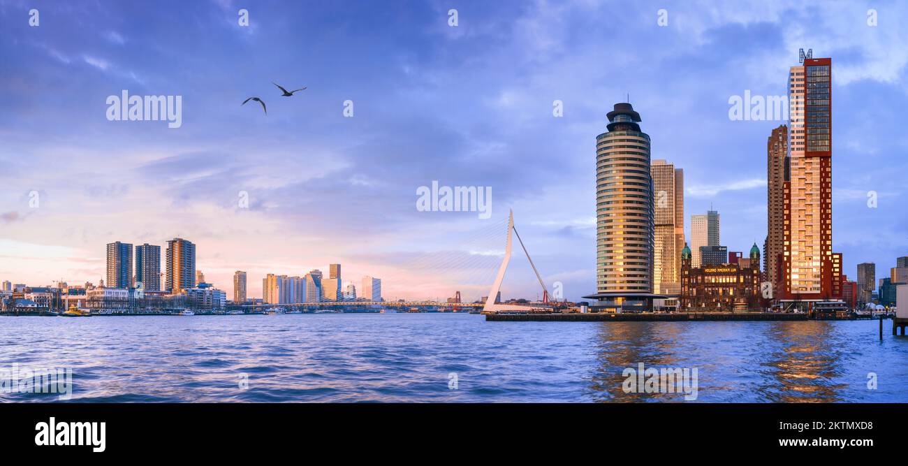 City Landscape, panorama - view on Erasmus Bridge and district ...