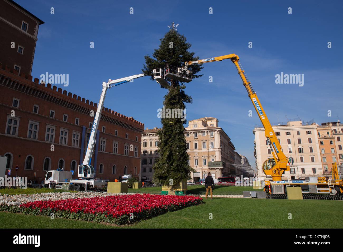 Rome, Italy. 29th Nov, 2022. A moment of setting up Christmas Tree in ...