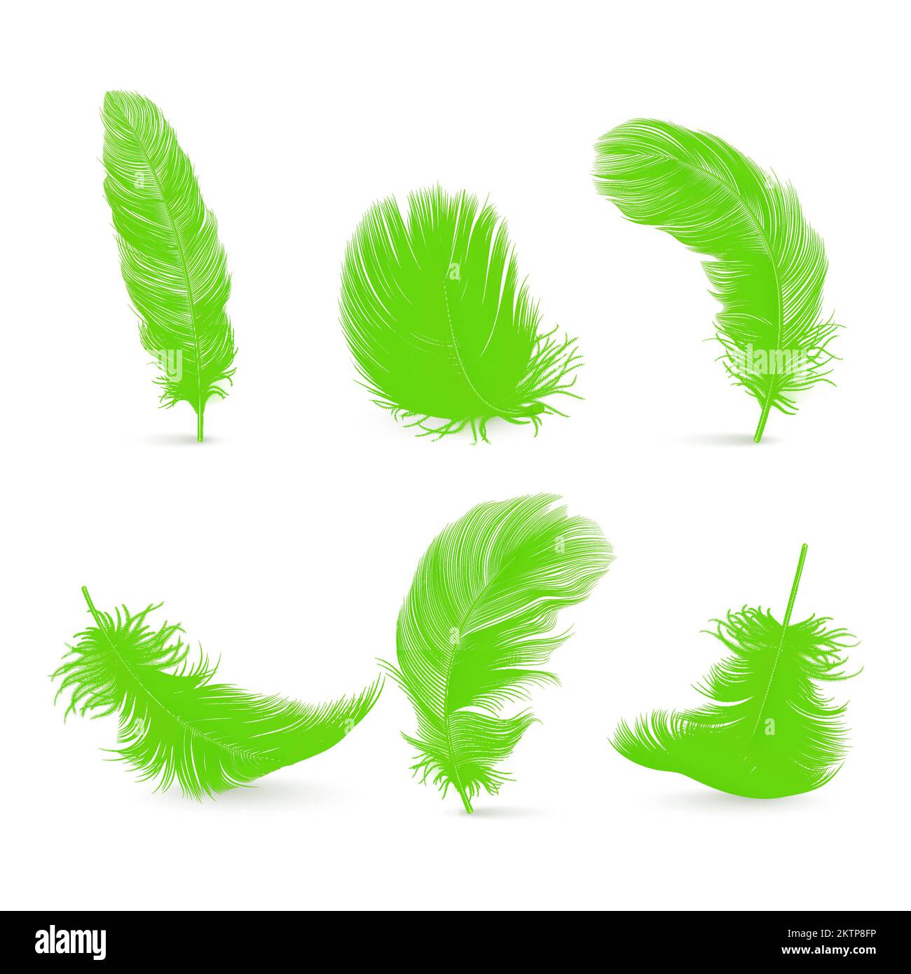 Vector 3d Realistic Green Fluffy Feather Set Isolated on White ...