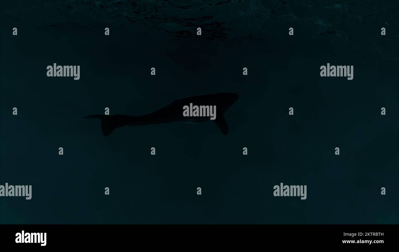 Abstract storm and dark terrifying giant wave revealing a shark ...